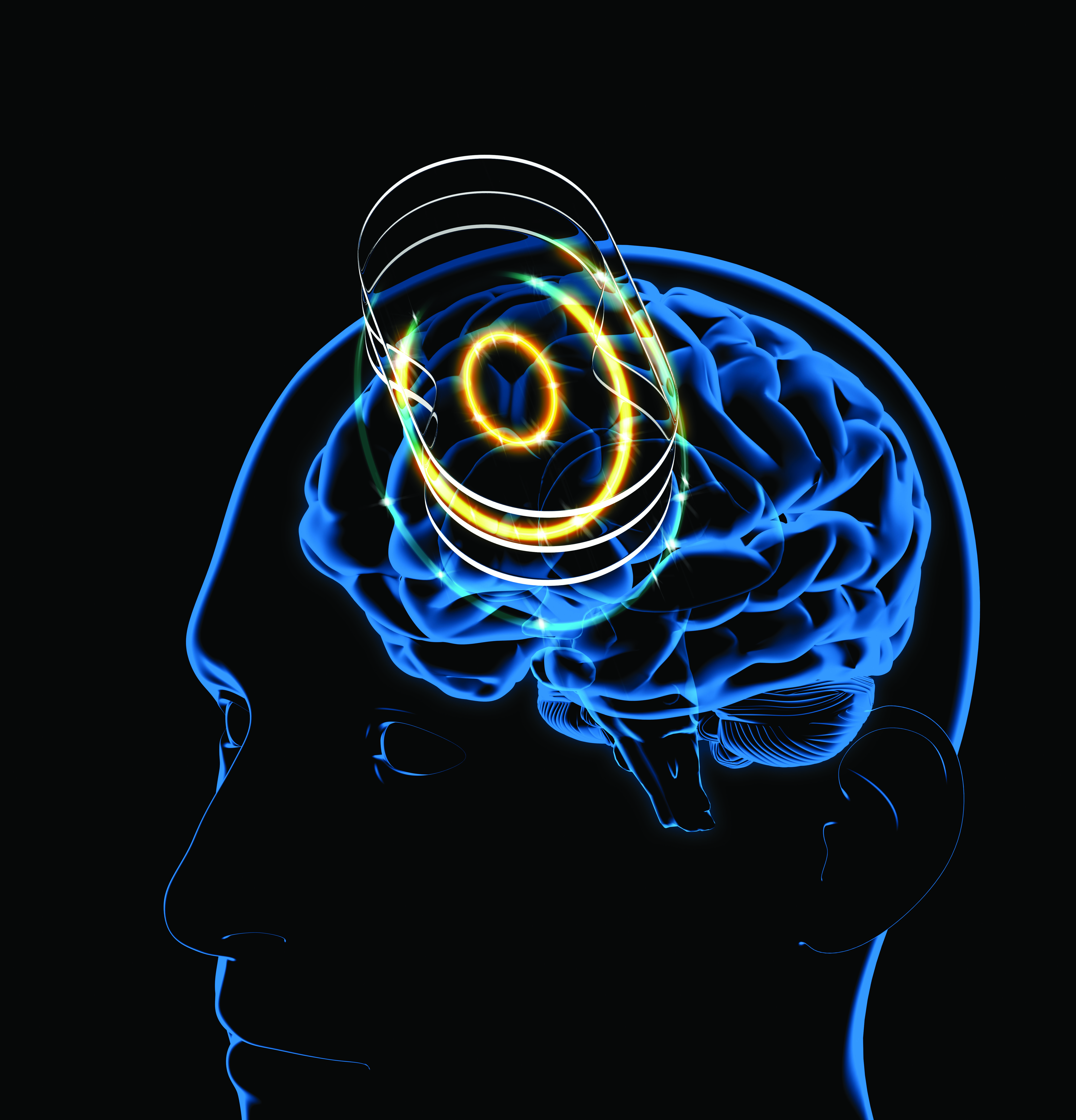 Educate - MagVenture